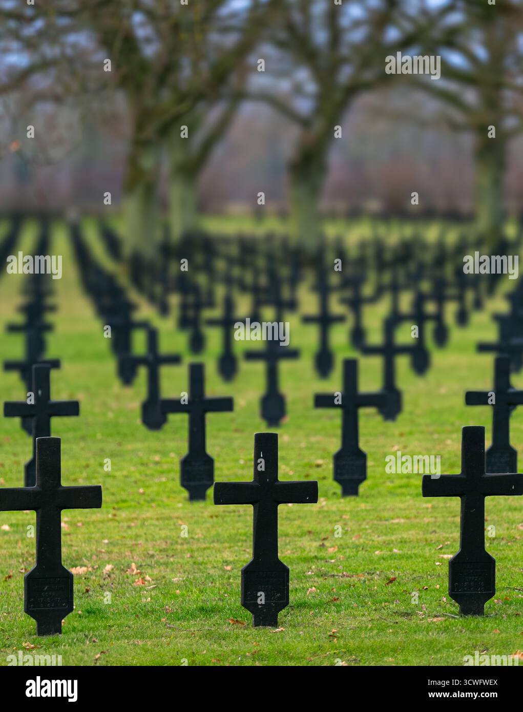 Grave markers form a solemn grid in Fort de la Malmaison cemetery ...