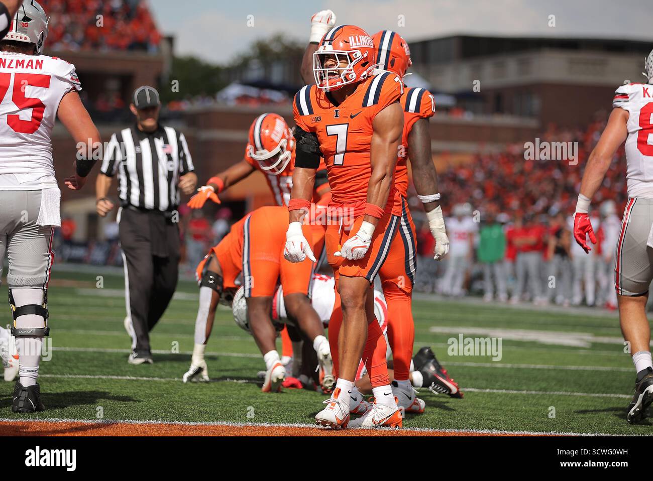 Illinois defensive back Matthew Bailey (7) reacts after a play during ...