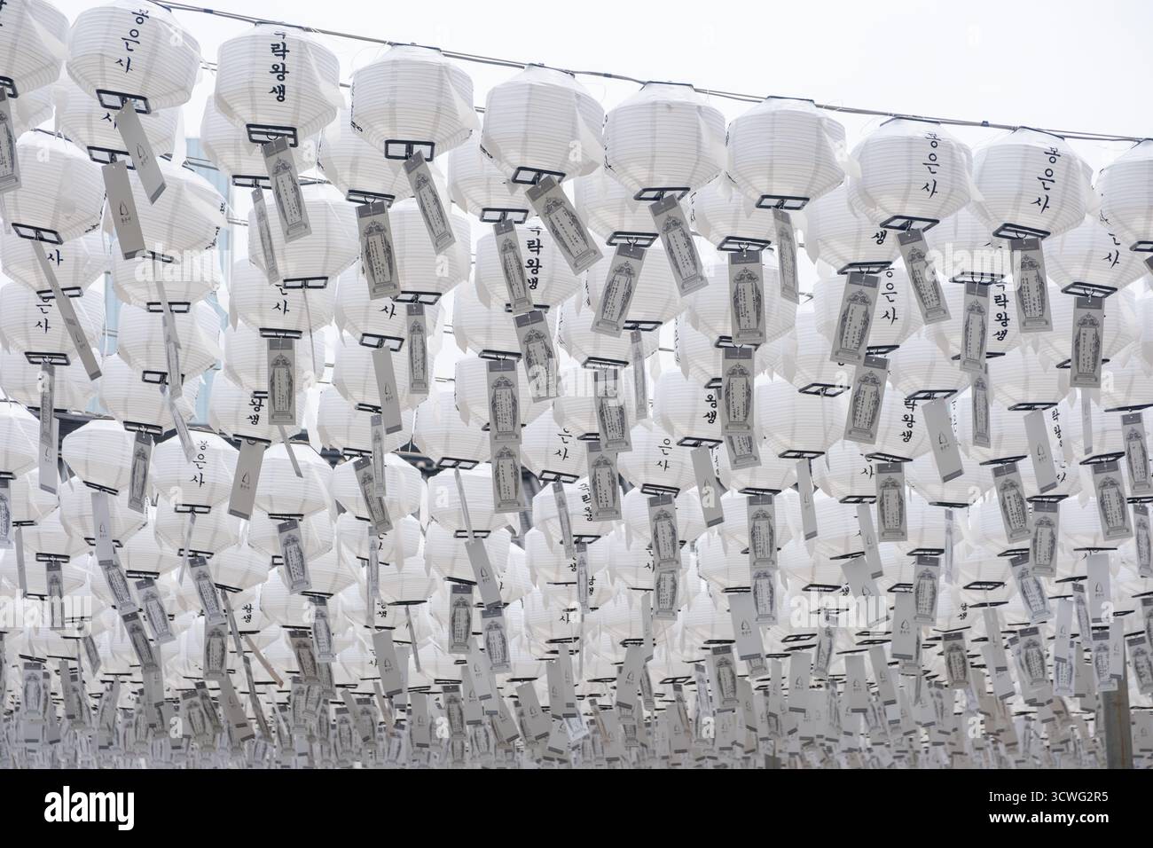 Seoul, South Korea - 13 June 2025: White paper lanterns hanging for ...