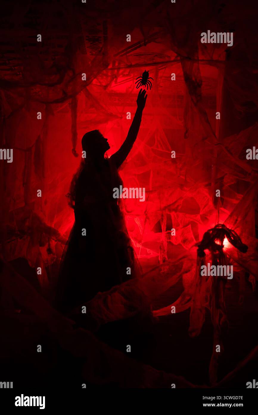 Halloween Vampire Woman. Silhouette of Lady holding big spider in ...