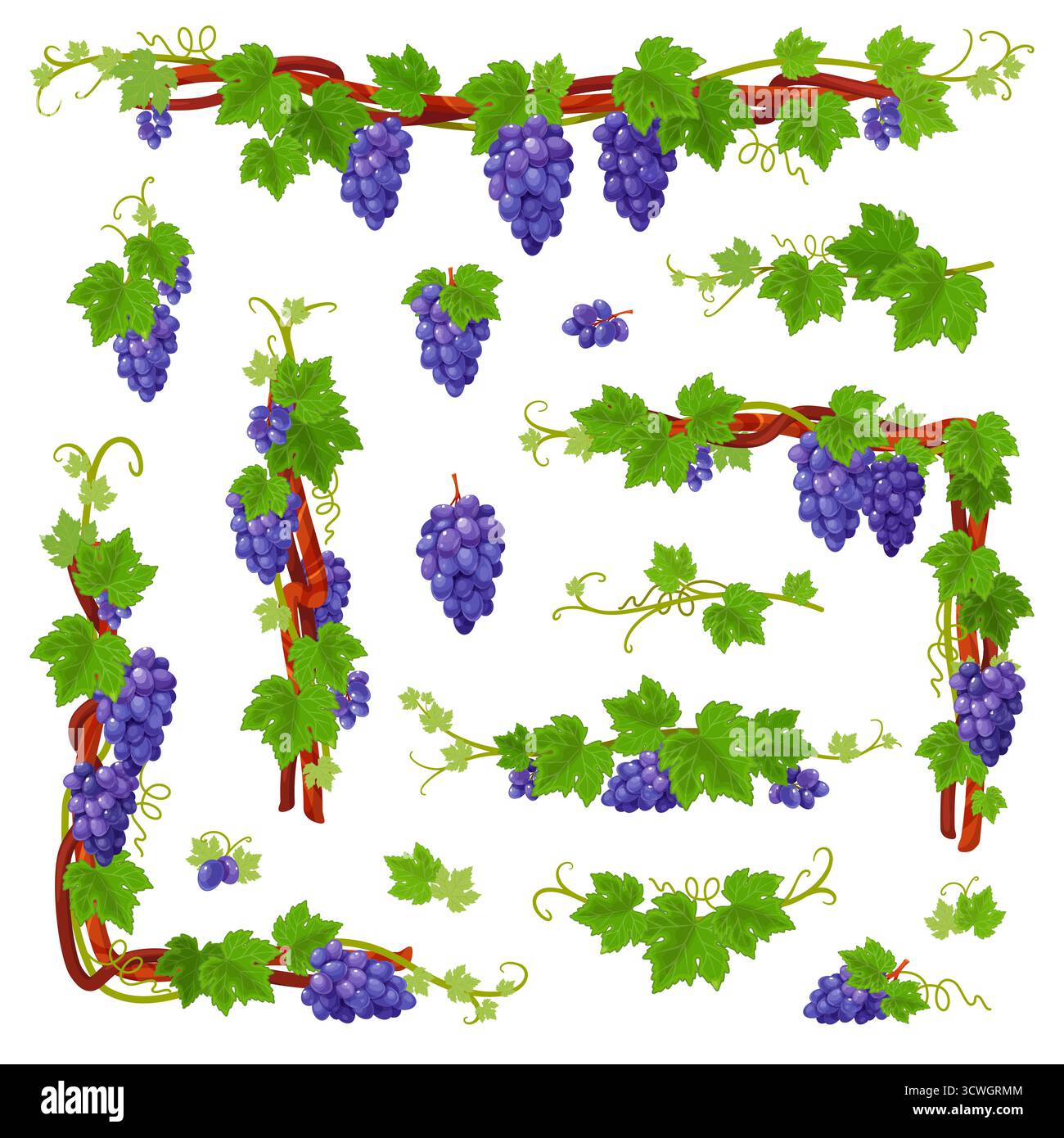 Cartoon grape vine. Curly branches with leaves, clusters, red wine ...