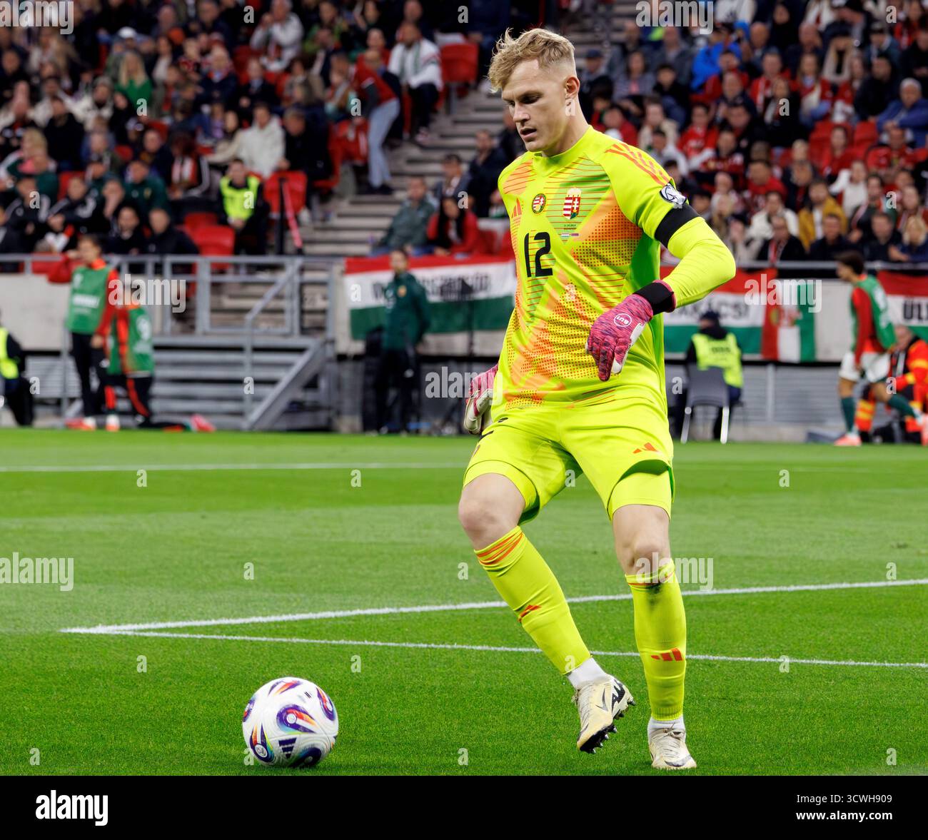 Toth balazs hi-res stock photography and images - Alamy