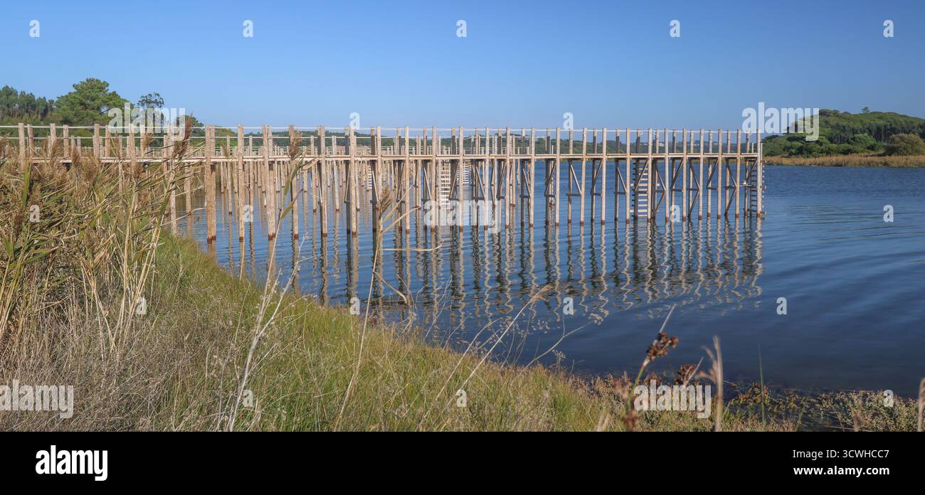 Wooden pier structure reflecting in calm water, surrounded by natural ...