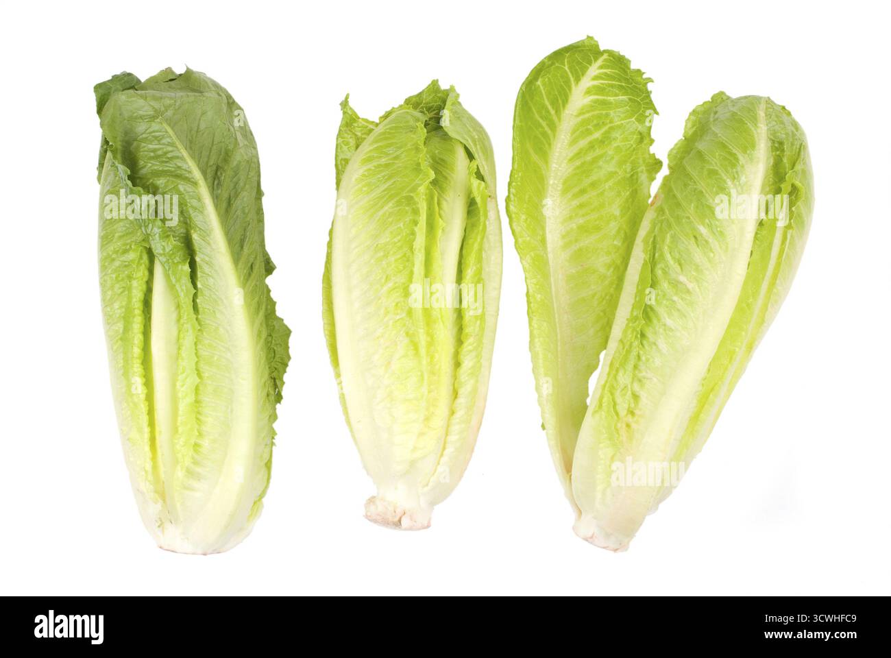 The vegetable system Cut Out Stock Images & Pictures - Alamy