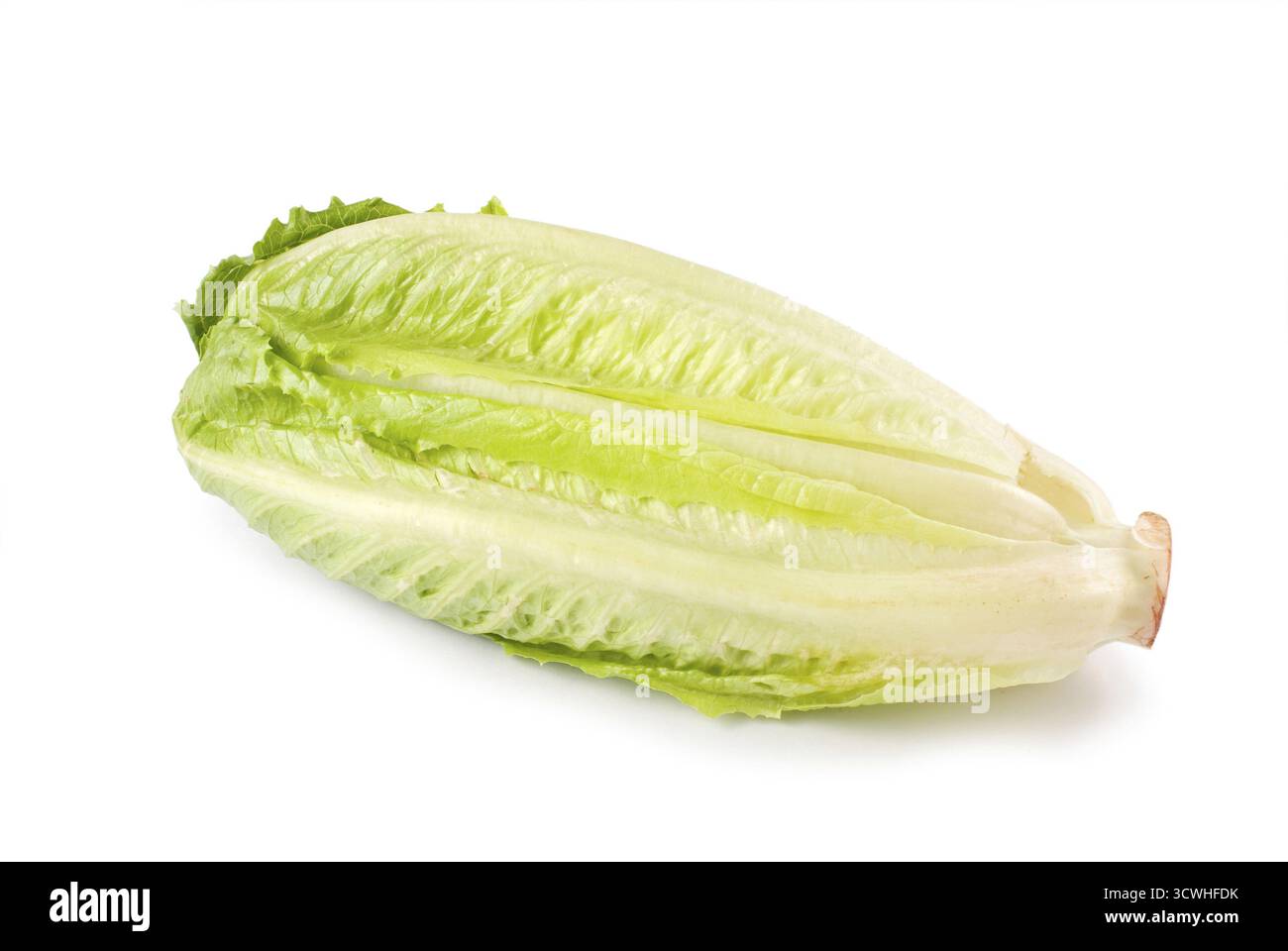 The vegetable system Cut Out Stock Images & Pictures - Alamy