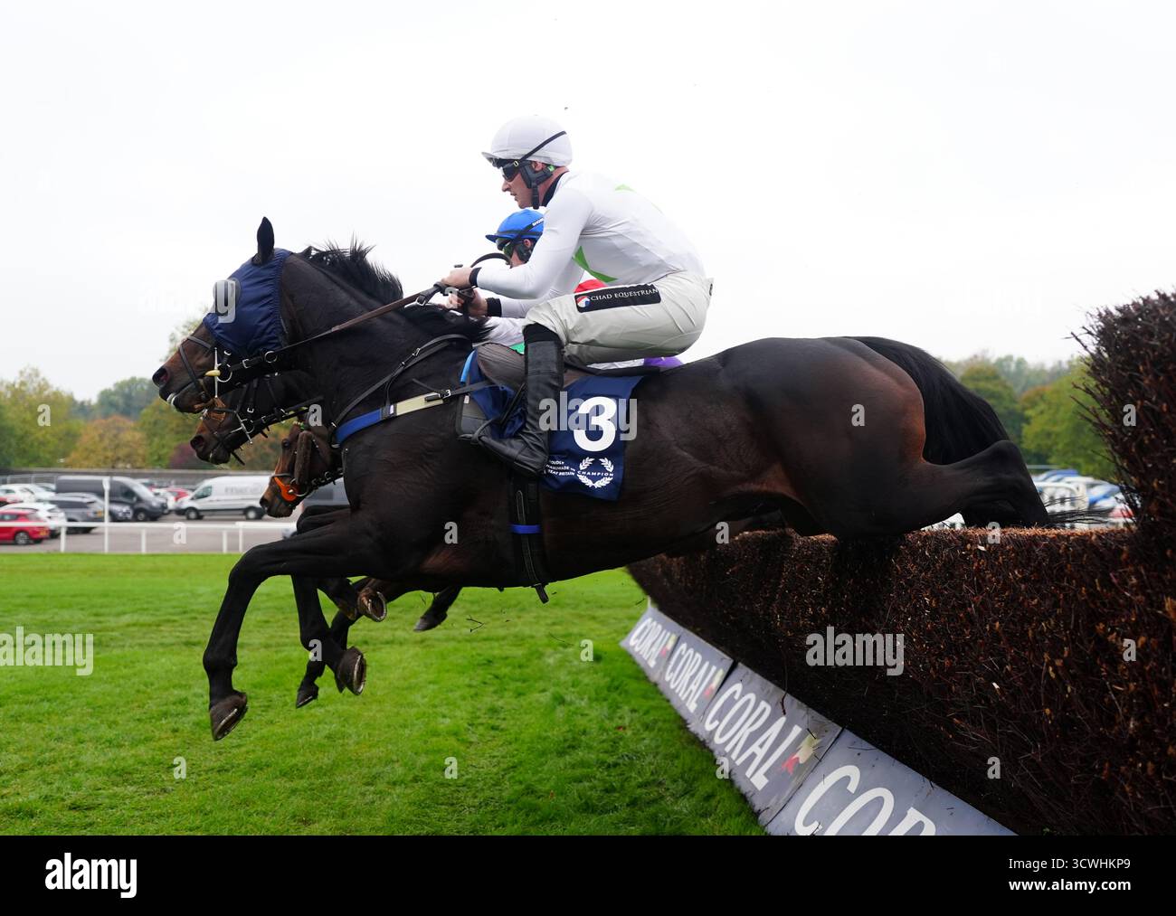 My Gift To You ridden by Alex Chadwick in the Champion Equestrian ...
