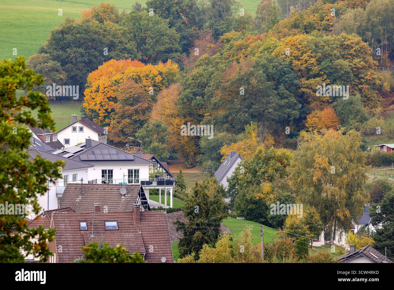 Herbst im Siegerland. Indian Summer. Die Blaetter Blätter an den ...