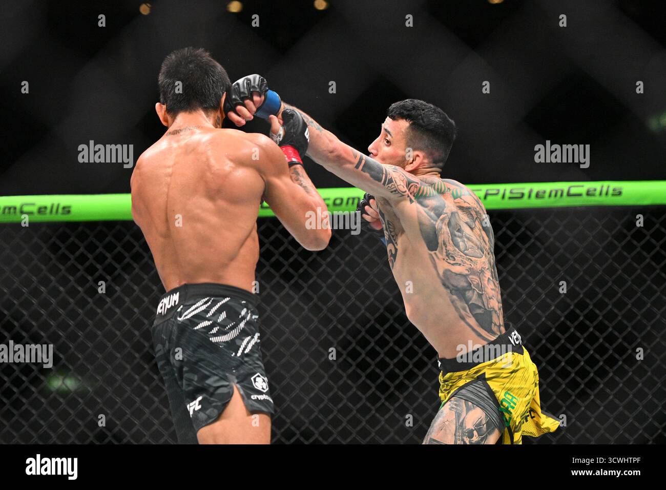 RIO DE JANEIRO, BRAZIL - OCTOBER 11: Luan Lacerda fights Saimon ...