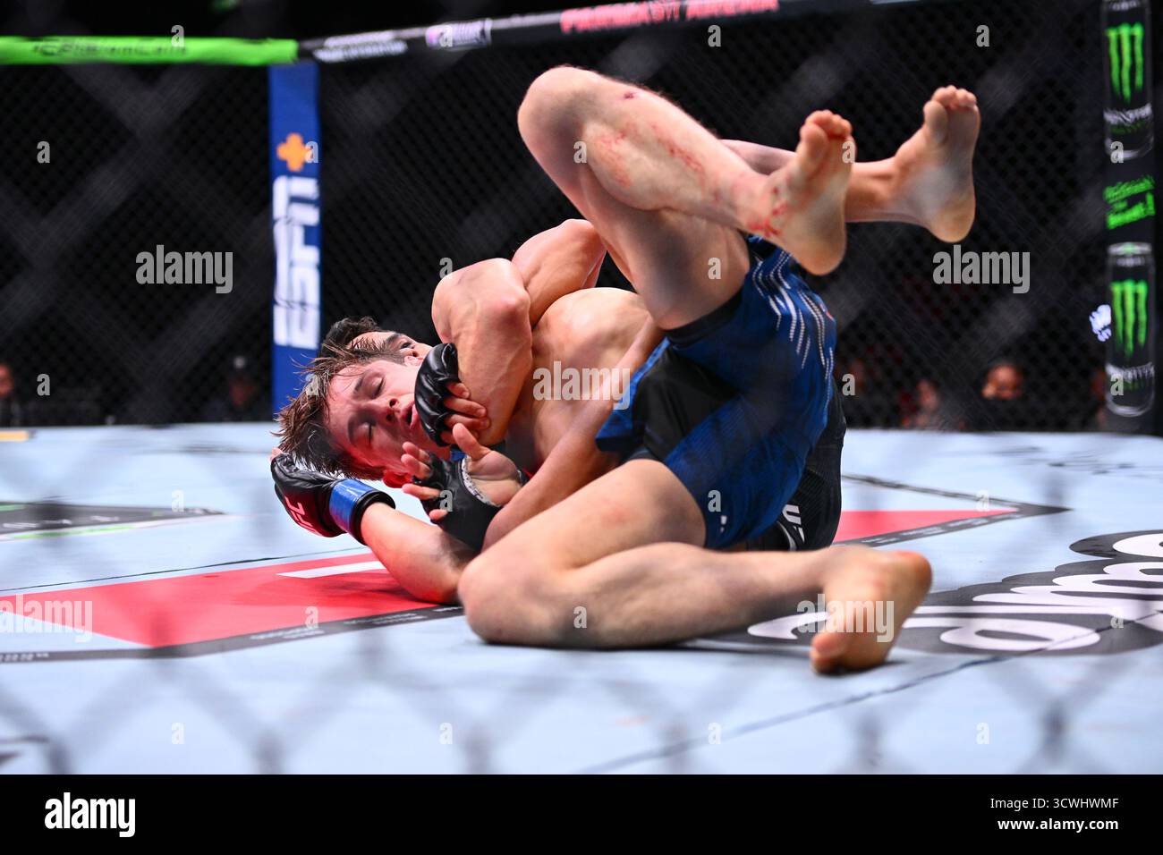 RIO DE JANEIRO, BRAZIL - OCTOBER 11: Jafel Filho fights Clayton ...