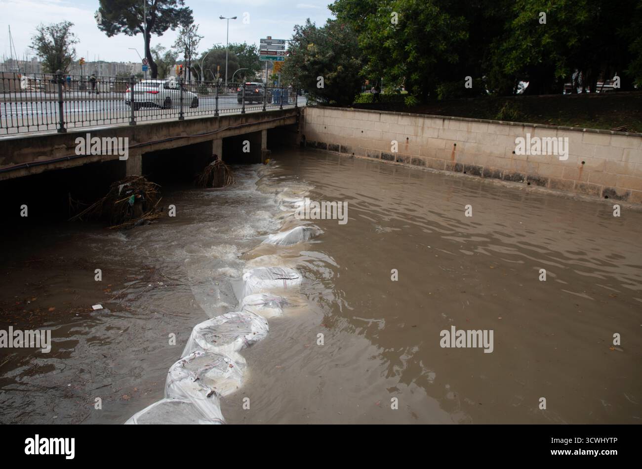 12 October 2025, Spain, Palma: The Sa Riera torrent is carrying a lot ...