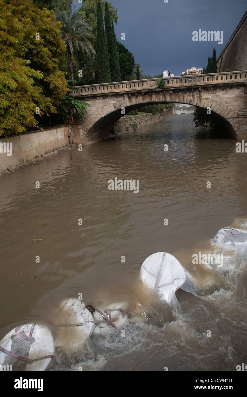 12 October 2025, Spain, Palma: The Sa Riera torrent is carrying a lot ...