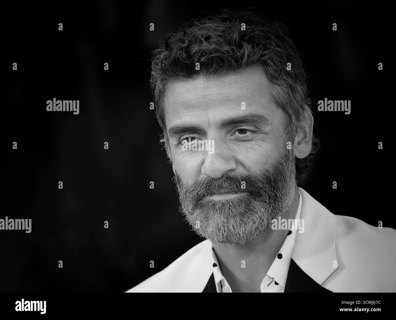 Actor oscar isaac actress hi-res stock photography and images - Alamy