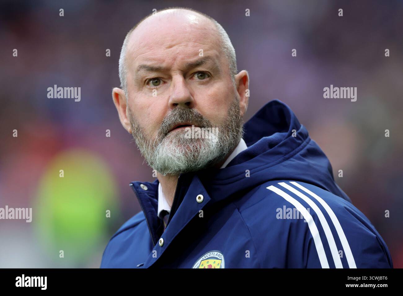 Scotland manager Steve Clarke during the FIFA World Cup European ...