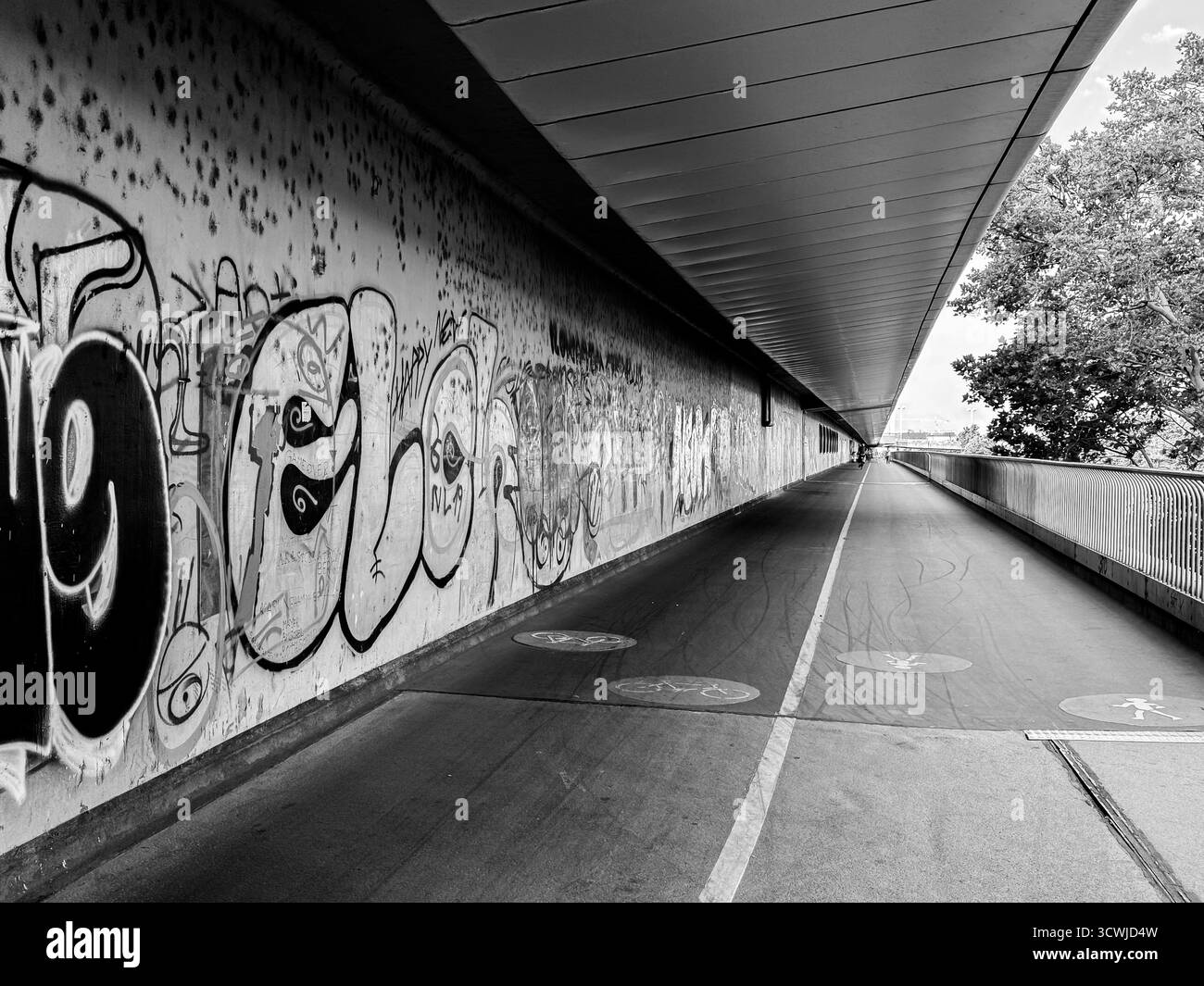 Black and white view of a graffiti-covered pedestrian and cycle ...