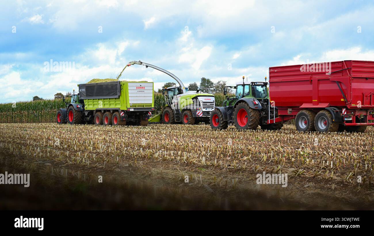 A maize chopper combine harvester loads a tractor with the maize ...