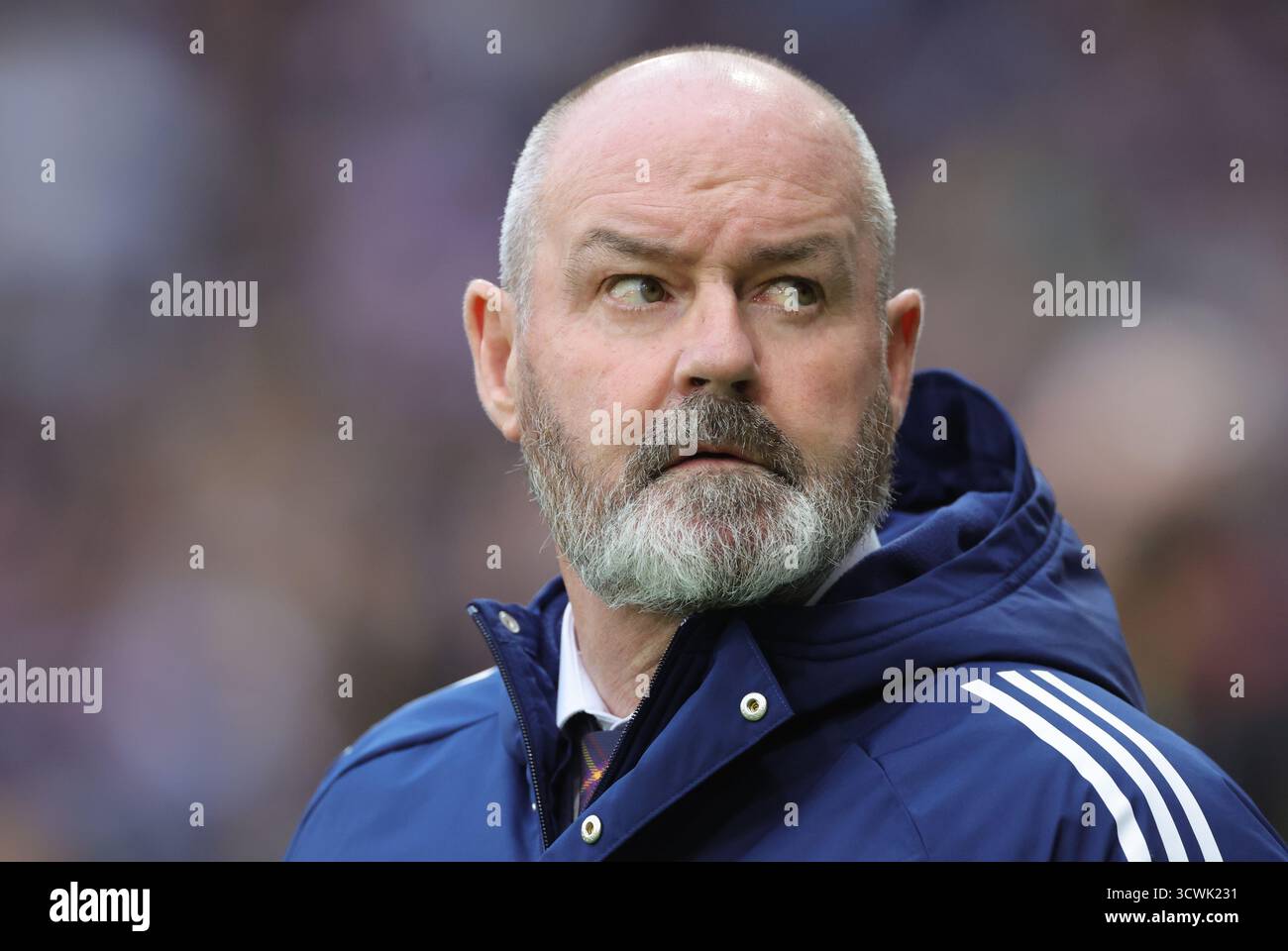 Scotland manager Steve Clarke during the FIFA World Cup European ...
