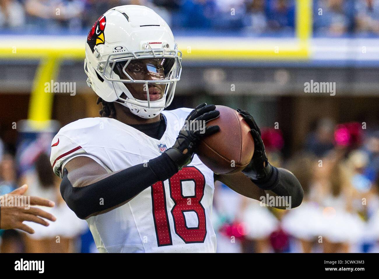 Marvin harrison jr cardinals 2025 hi-res stock photography and images ...
