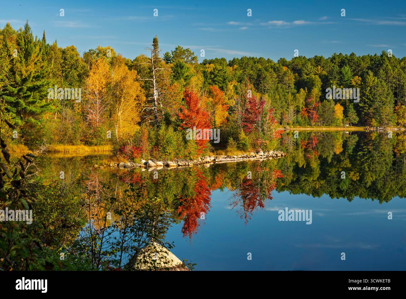 Chippewa national forest hi-res stock photography and images - Alamy