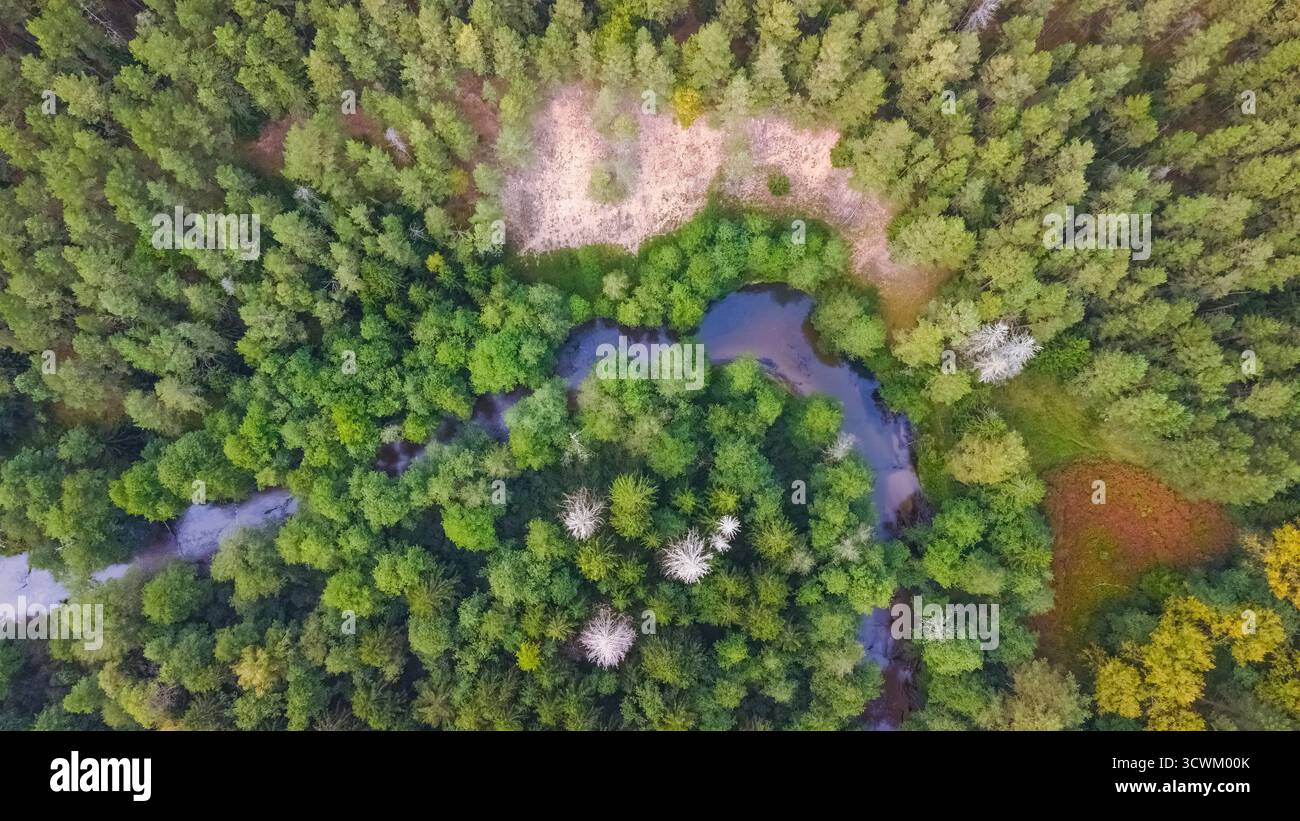 Aerial view of the Ūla-Pelesa River in Varėna District, Lithuania ...