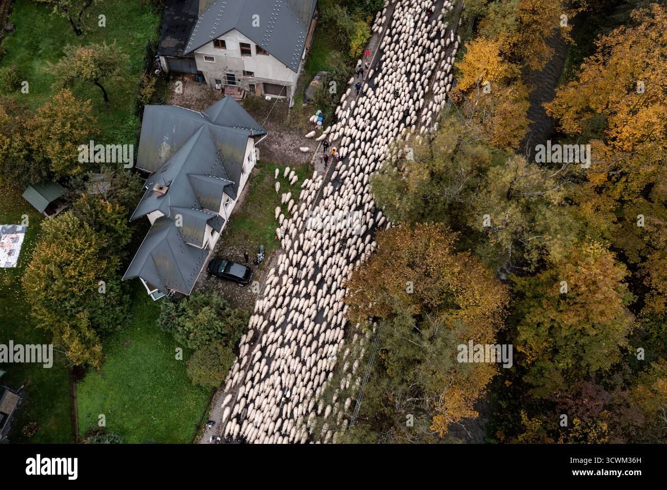 Nowy Targ, Poland. 12th Oct, 2025. EDITOR'S NOTE: (Image taken with a ...