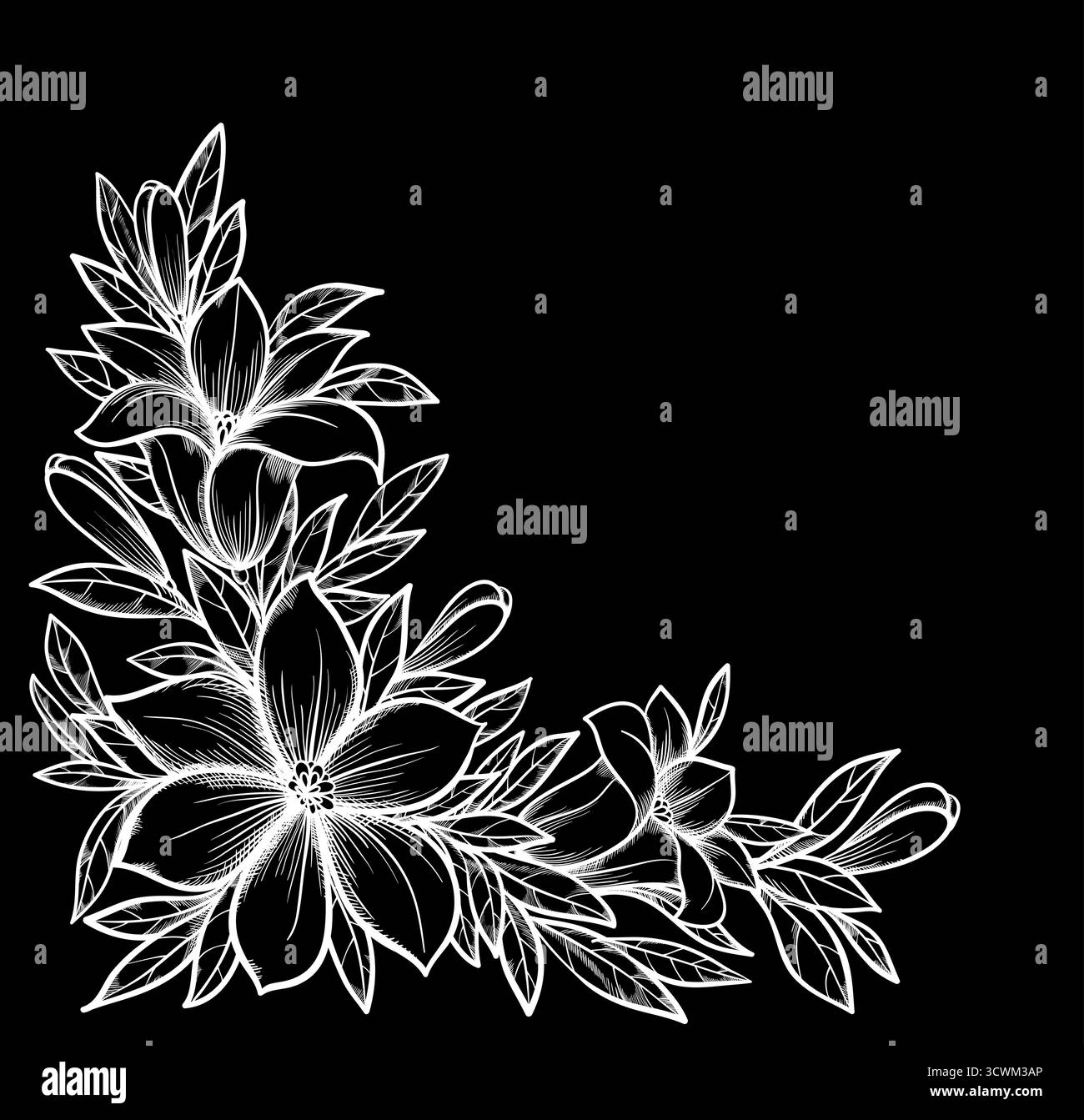 Wall flower bud Black and White Stock Photos & Images - Alamy