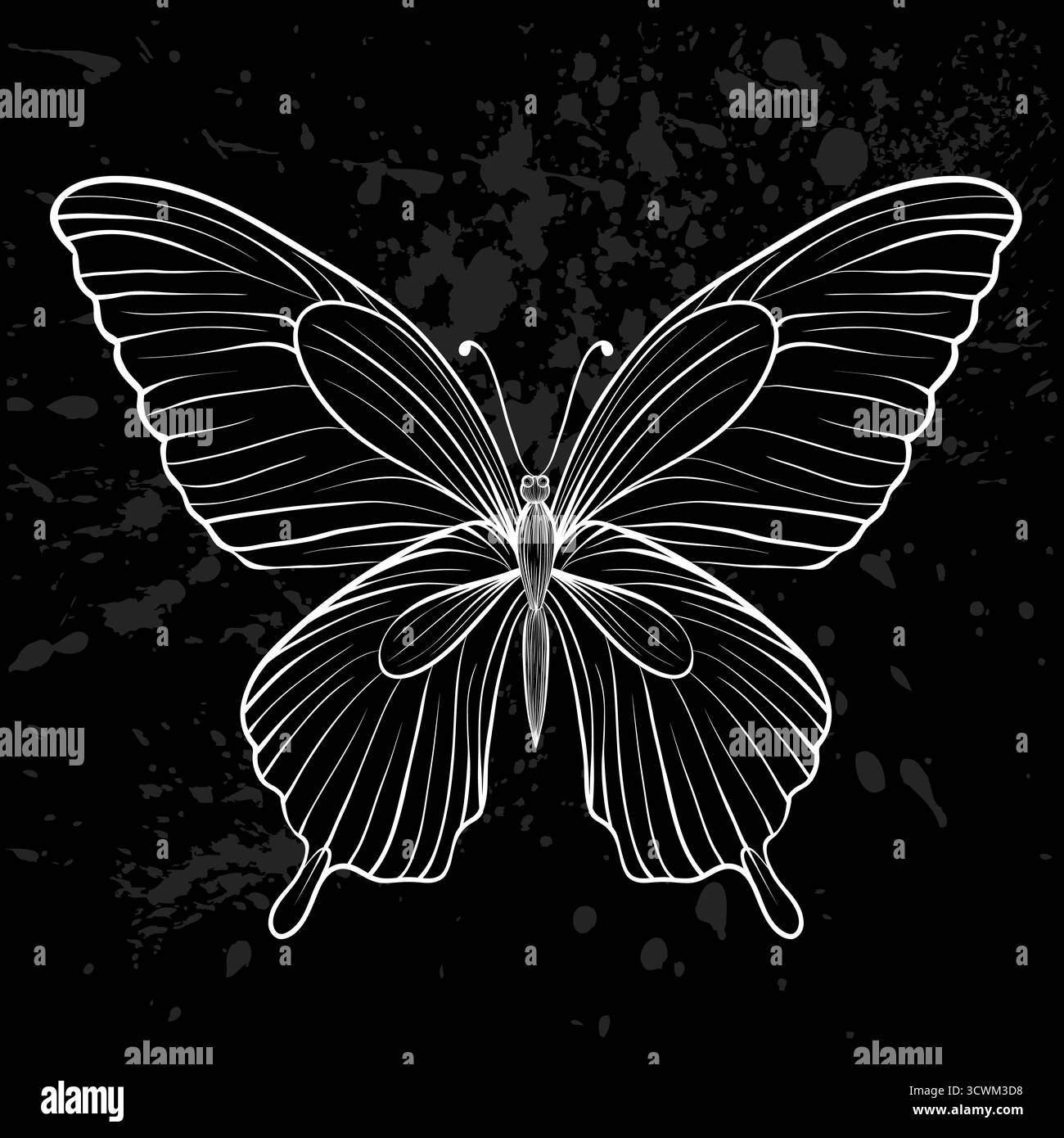 beautiful monochrome black and white butterfly Stock Vector Image & Art ...