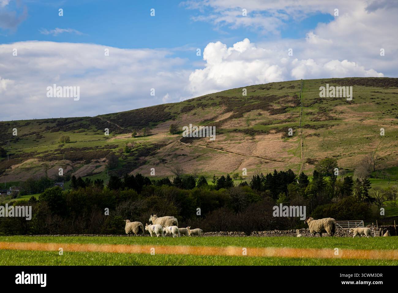 Aerial view of Mam Tor, a hill near Castleton in the High Peak of ...