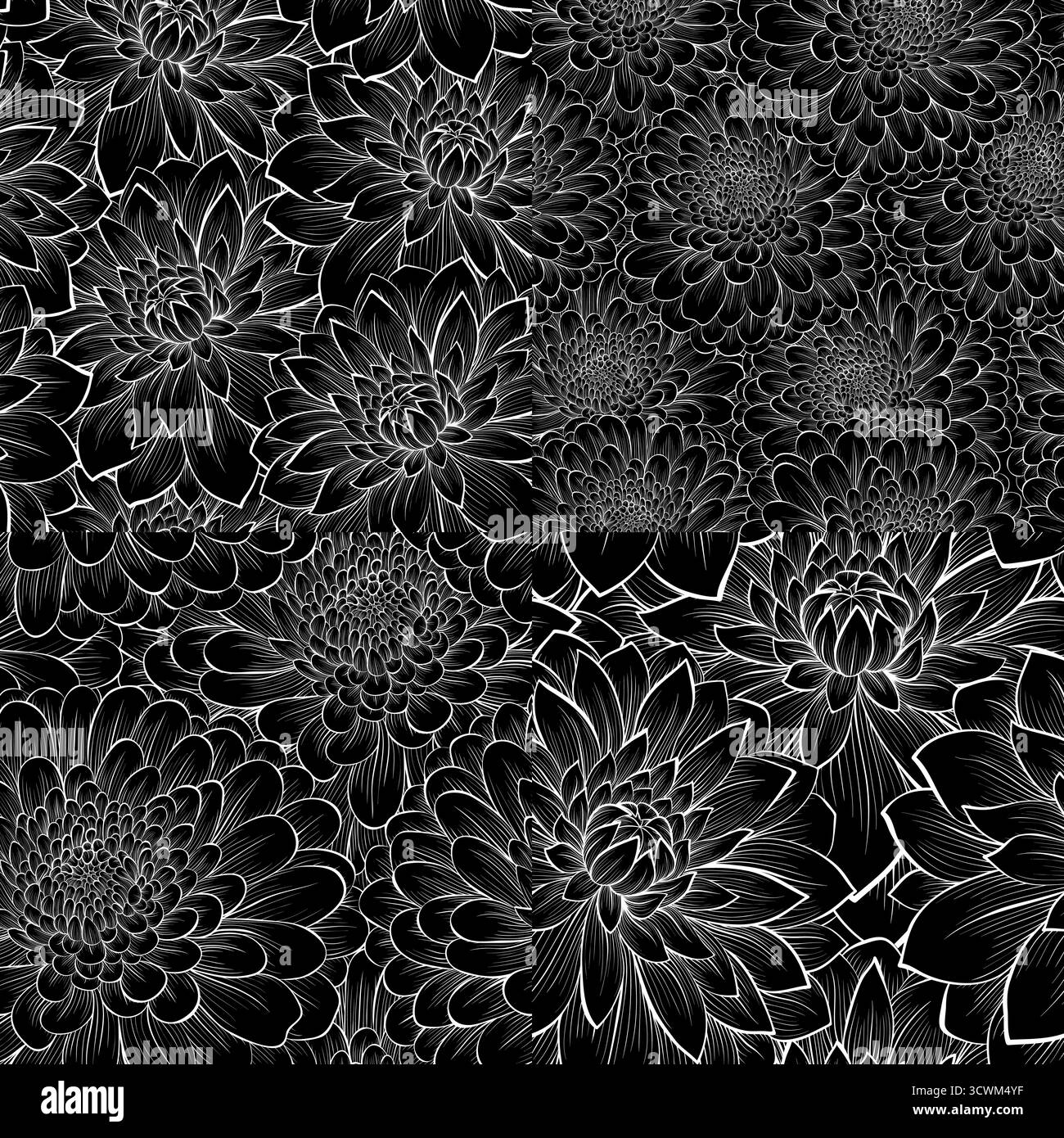 set of beautiful black and white seamless pattern in dahlias flowers ...