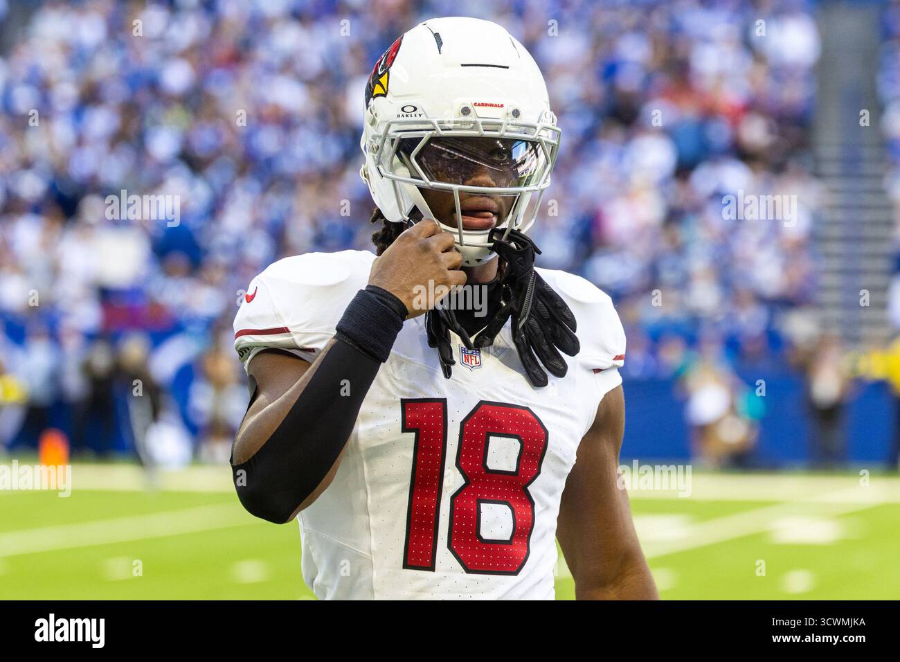 Marvin harrison jr cardinals 2025 hi-res stock photography and images ...