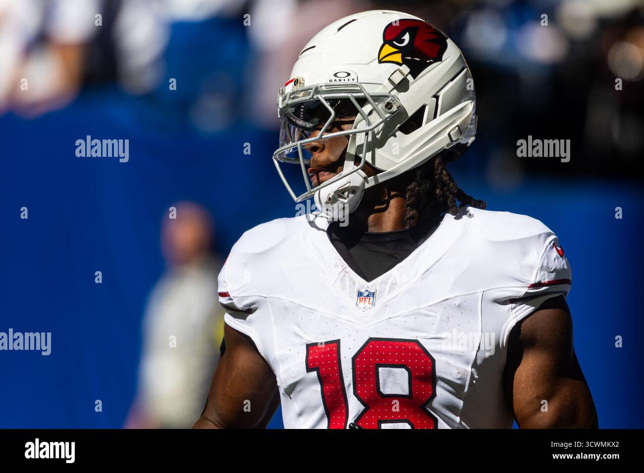 Marvin harrison jr cardinals 2025 hi-res stock photography and images ...