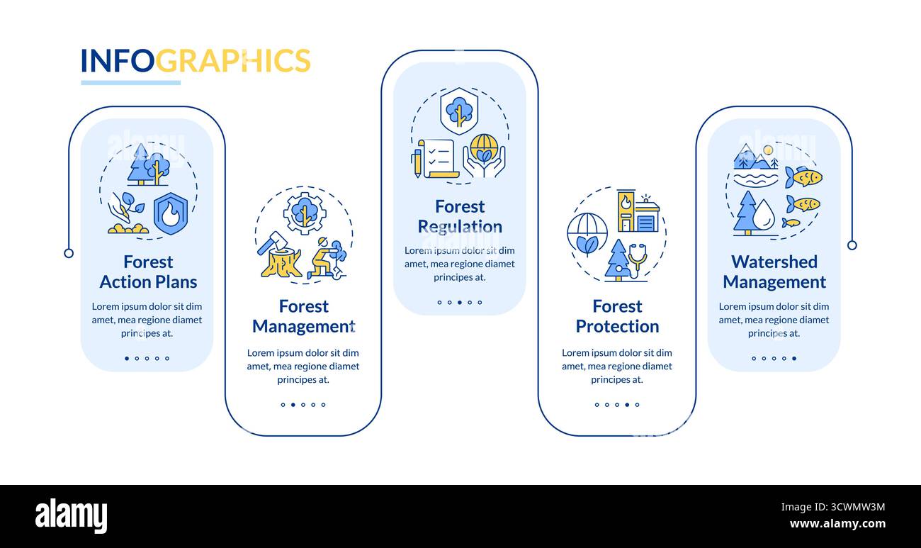 Forest management regulation rectangle infographic vector Stock Vector ...
