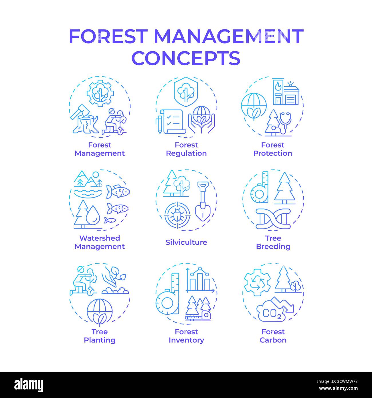 Forest management blue gradient concept icons Stock Vector Image & Art ...