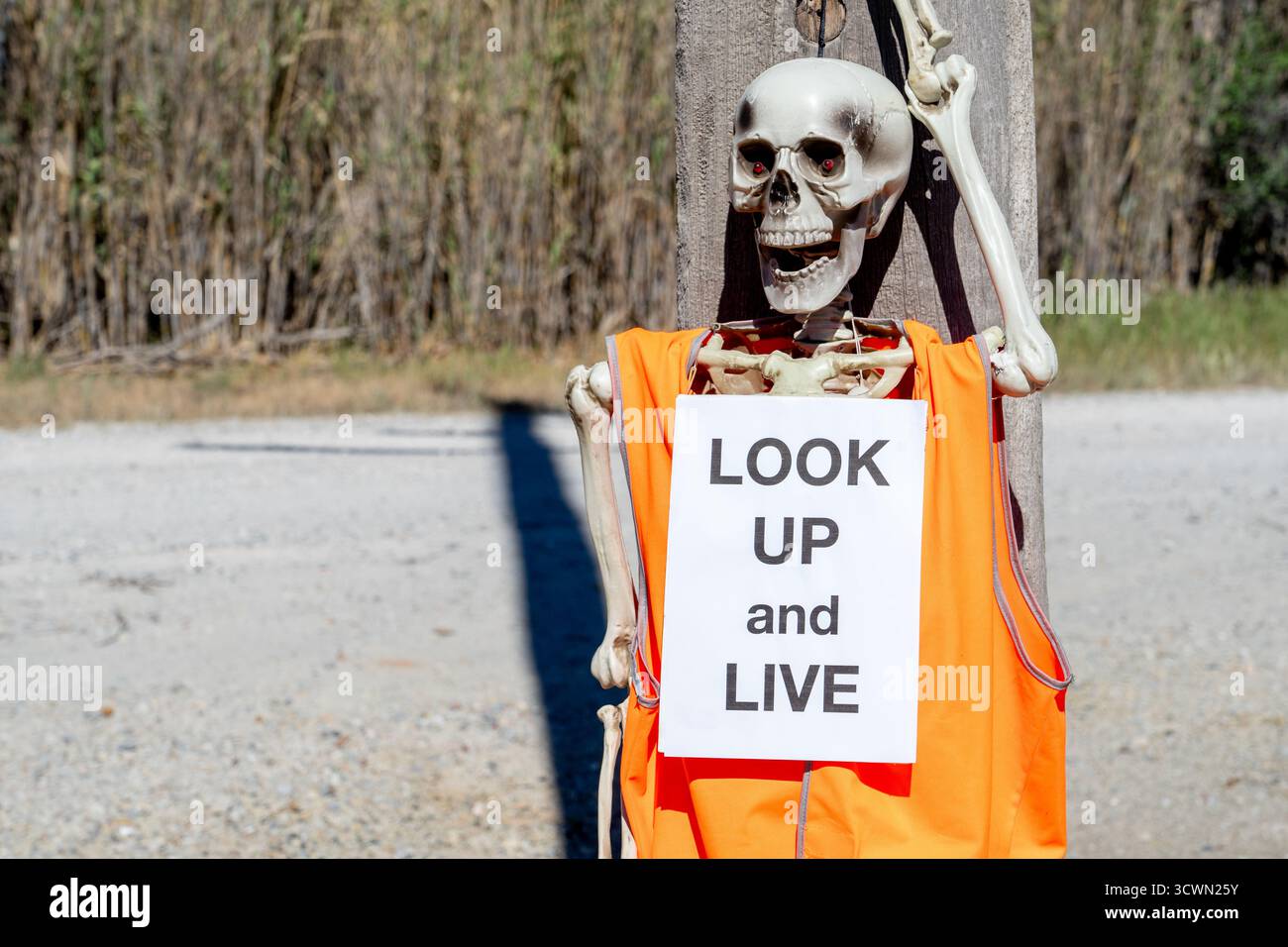Look Up and LIve sign on a Plastic Human Skeleton wearing a Orange ...