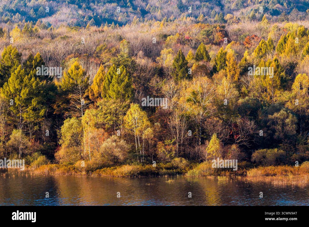 Autumn scenerty of the Mopanshan scenic area in Harbin City, northeast ...