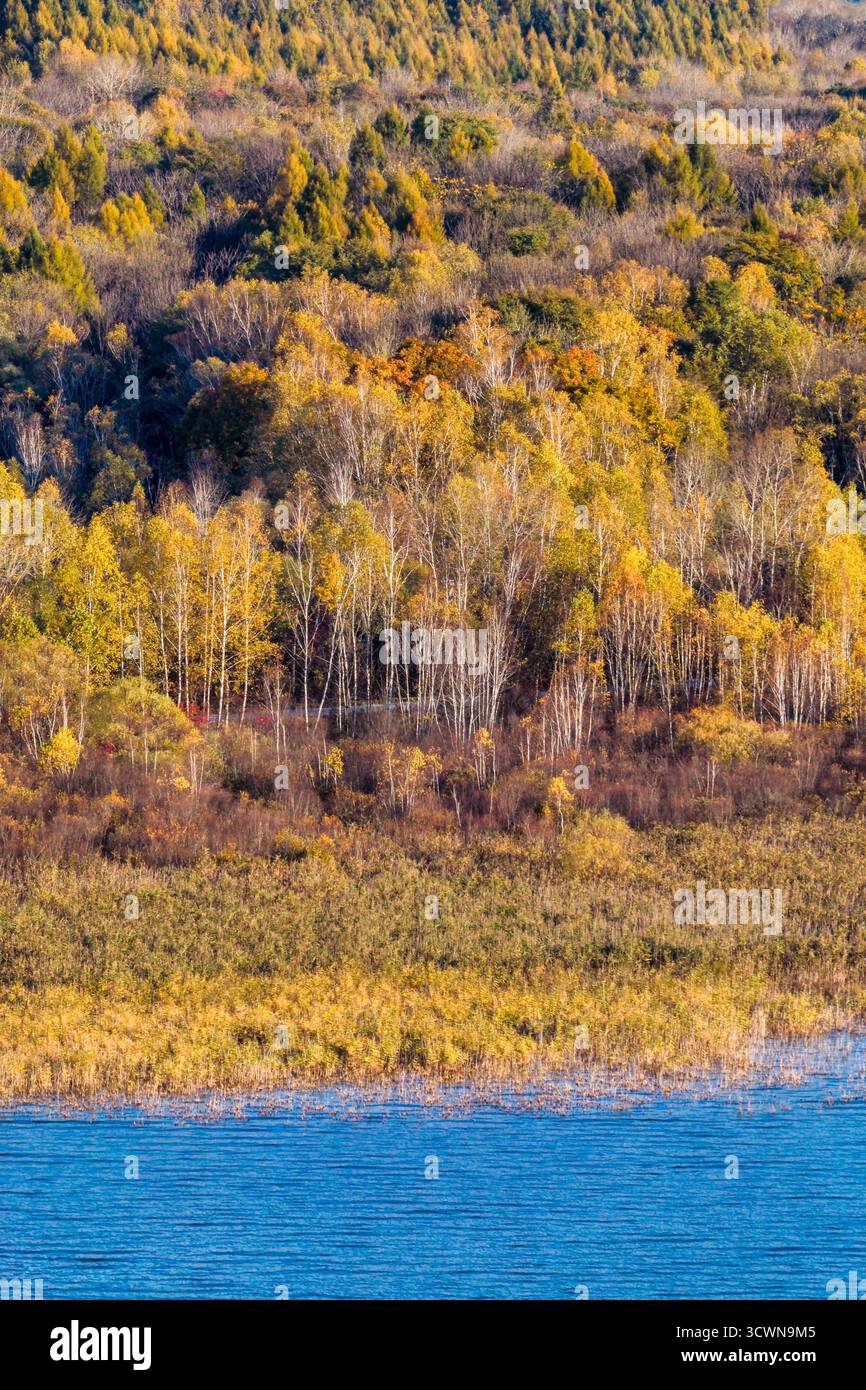 Autumn scenerty of the Mopanshan scenic area in Harbin City, northeast ...