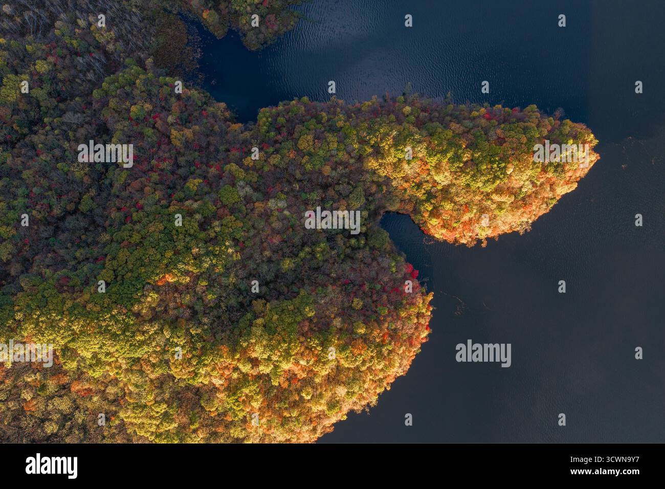 Autumn scenerty of the Mopanshan scenic area in Harbin City, northeast ...