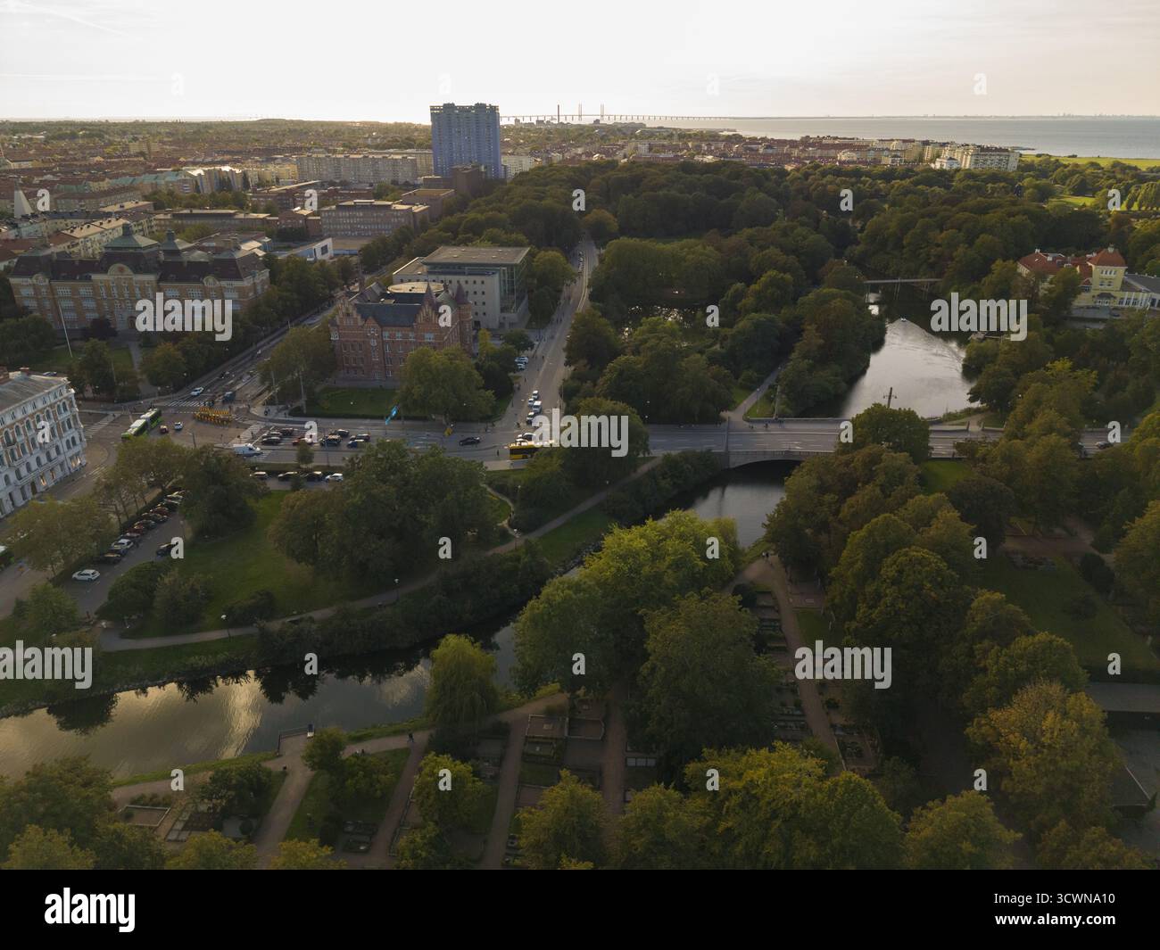 Canopy sunset bird hi-res stock photography and images - Alamy
