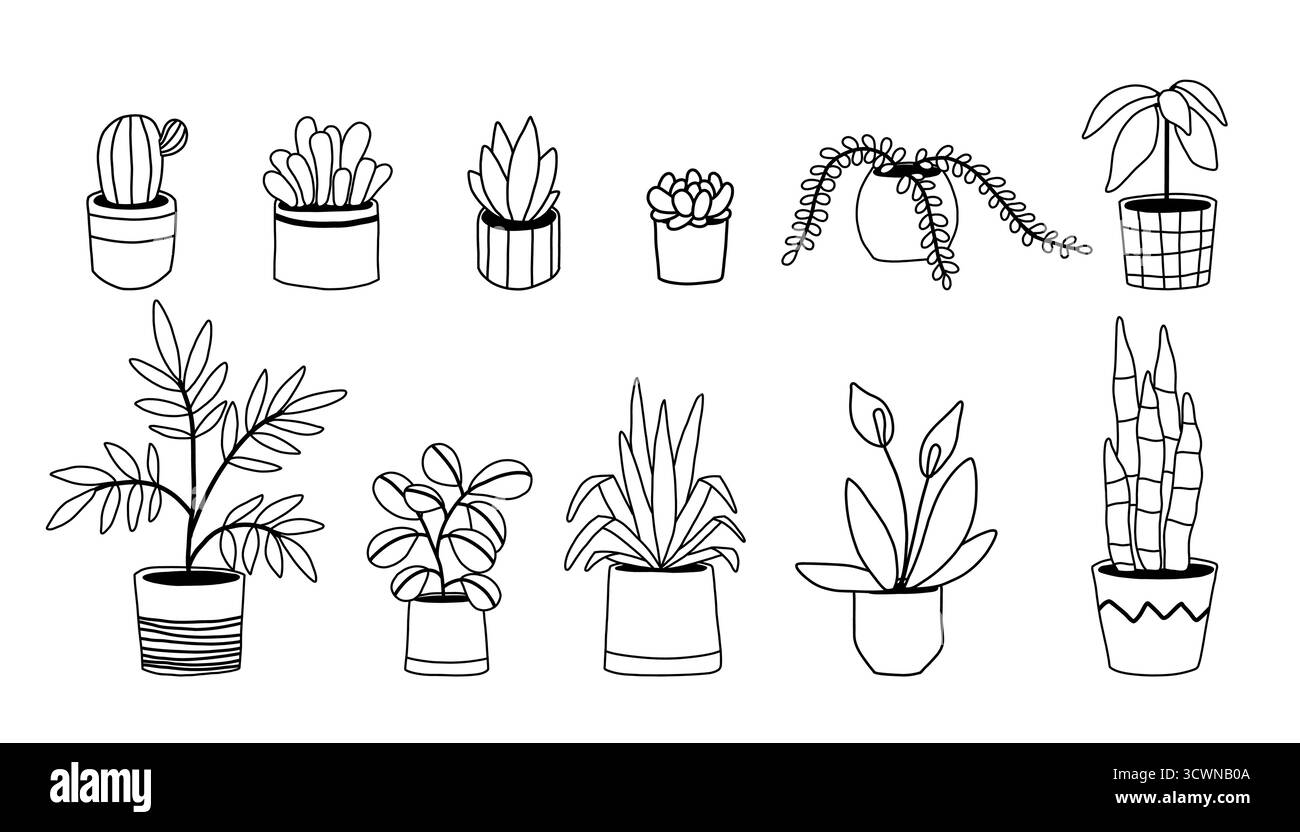 Hand drawn doodle set of houseplants in pots including cactus ...