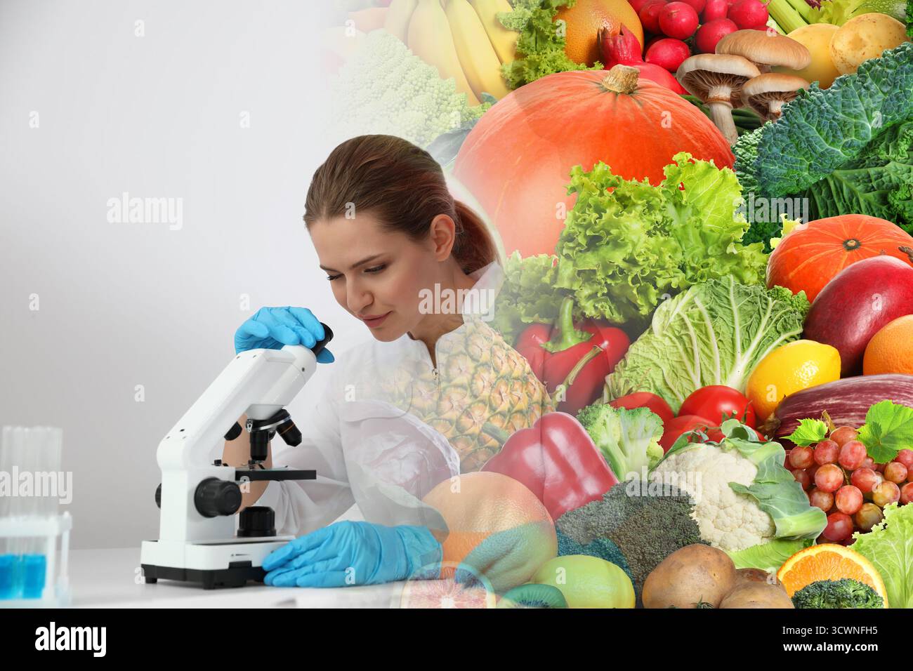 Food quality analysis. Laboratory worker using microscope, double ...