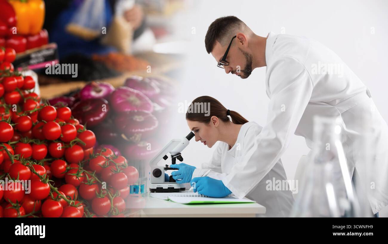 Food analysis laboratory workers hi-res stock photography and images ...