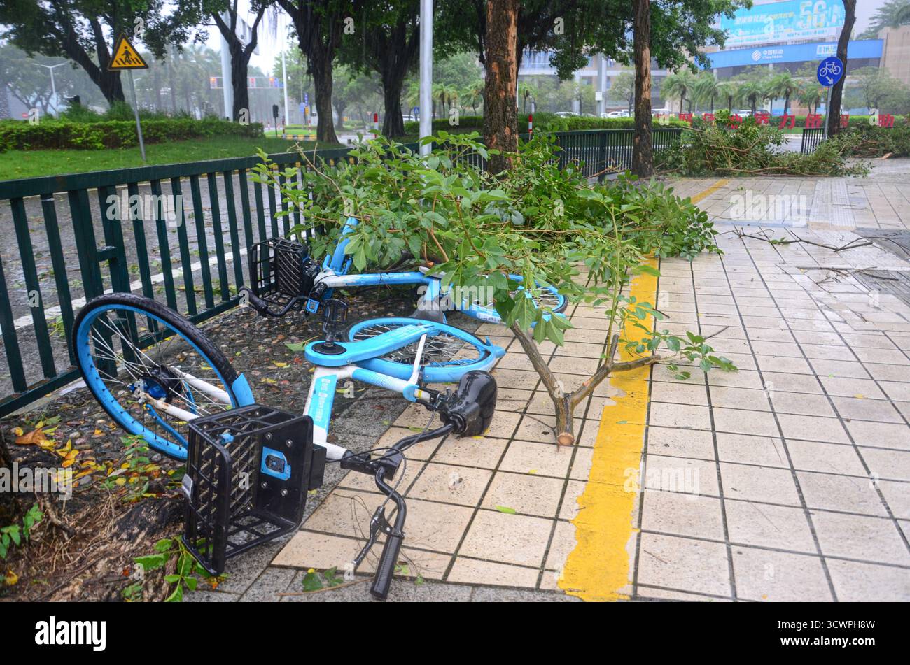 Jiangmen,Guangdong,China.24 September,2025.Super Typhoon Ragasa left ...