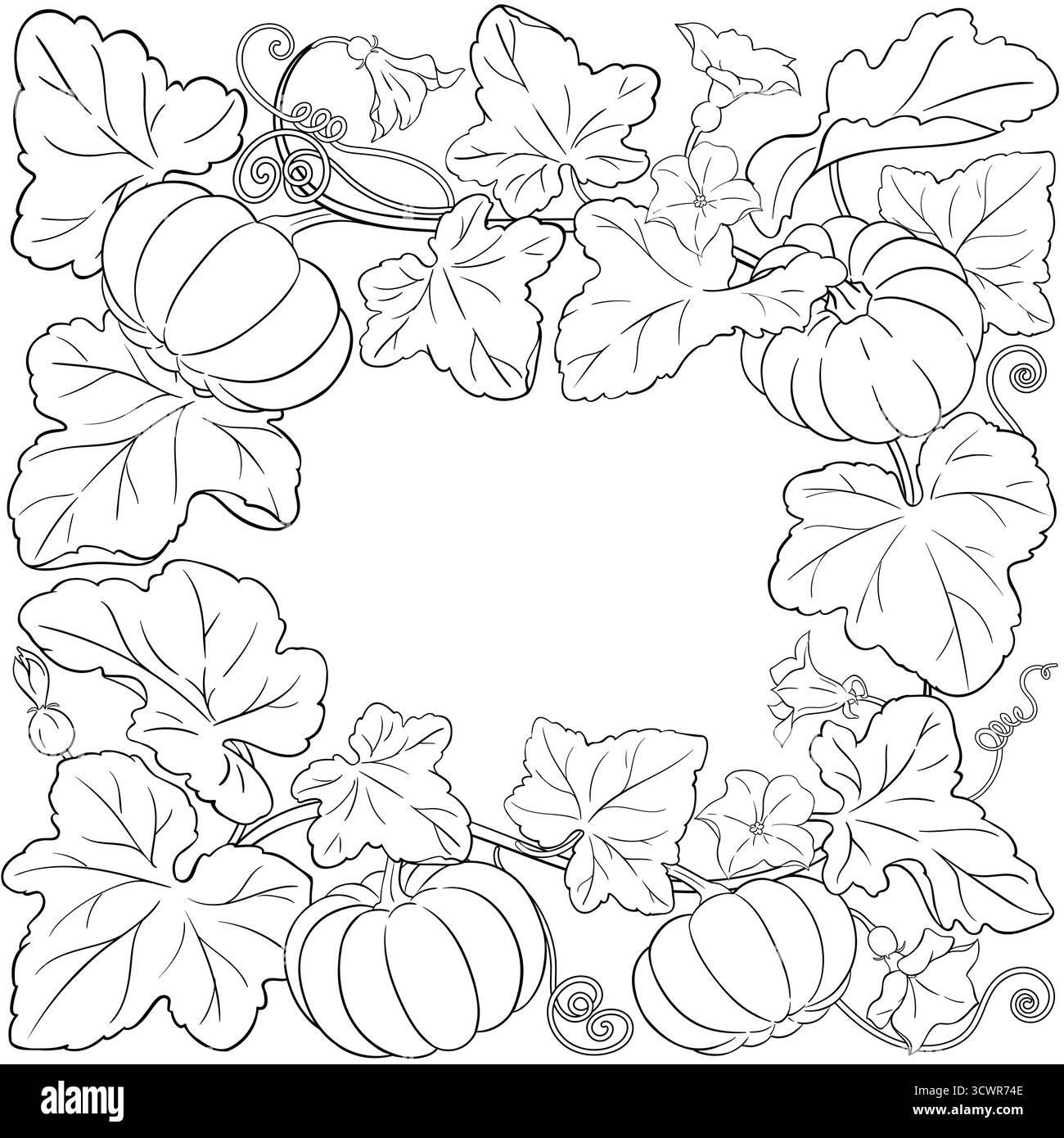 Pumpkin plant blossom leaf Stock Vector Images - Alamy