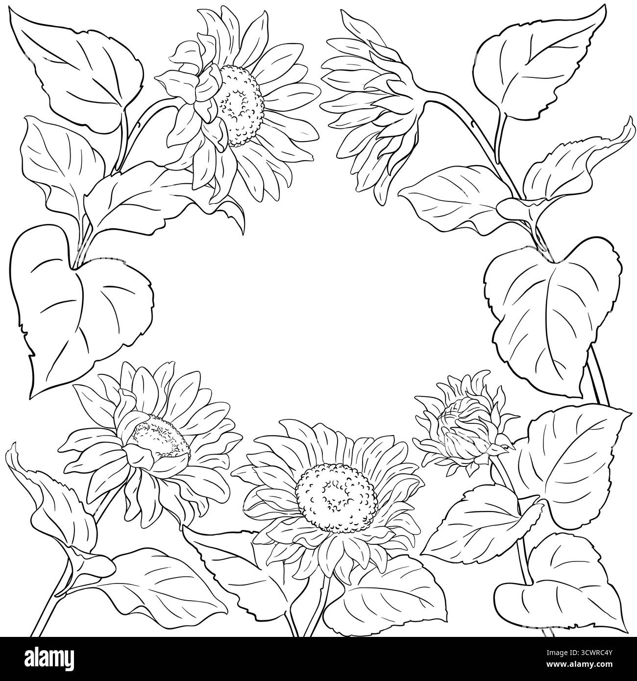 Sunflower frame line Black and White Stock Photos & Images - Alamy