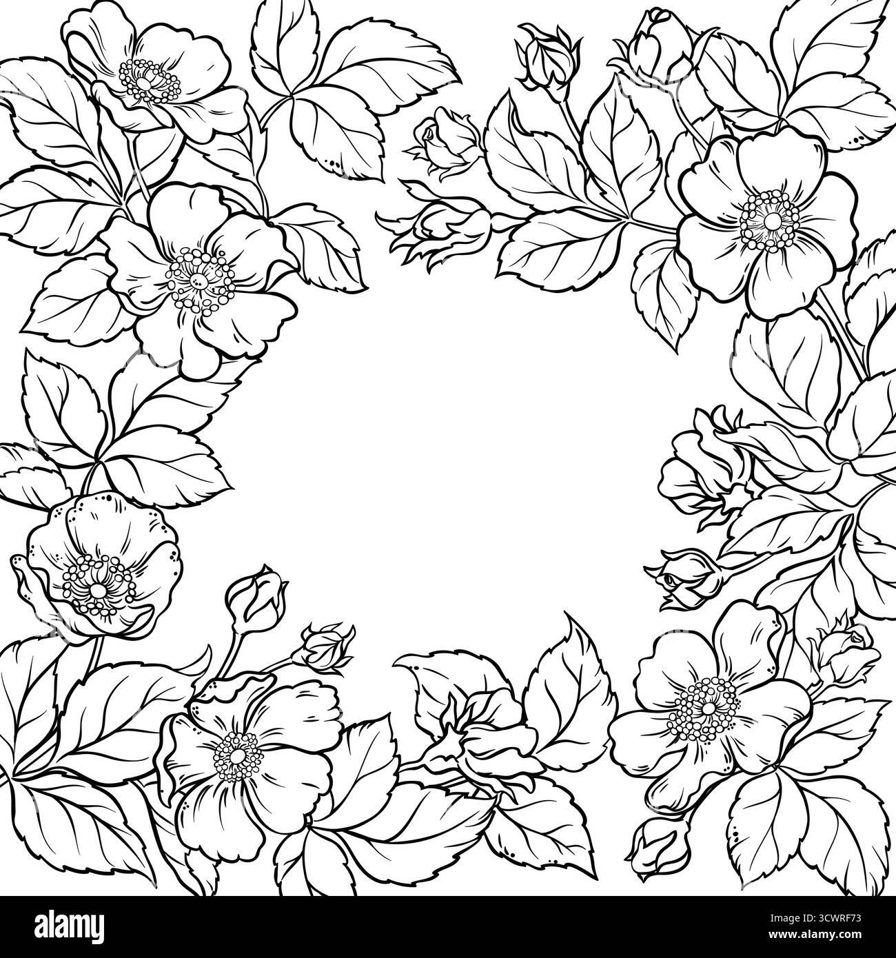 Wild Rose Branch with Flowers Outline Frame Stock Vector Image & Art ...