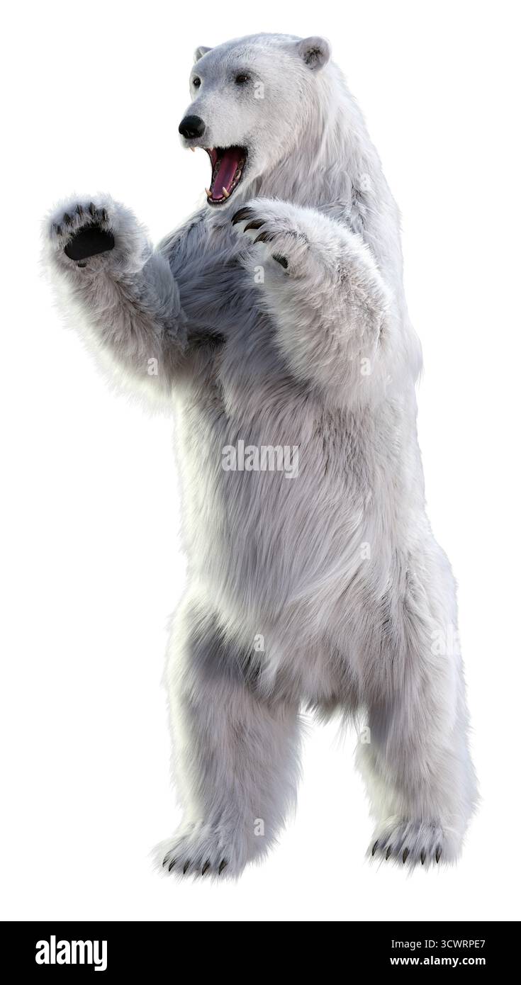 Big polar bear roaring standing hi-res stock photography and images - Alamy