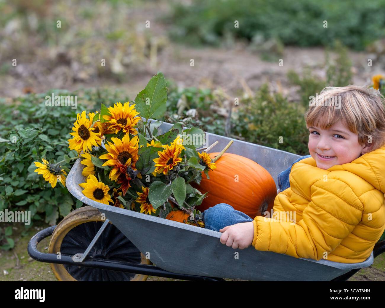 Child at pick your own pumpkins hi-res stock photography and images - Alamy