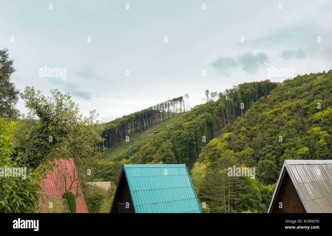 Tall Roofs of a cabins from aluminium tin in the woods Stock Photo - Alamy