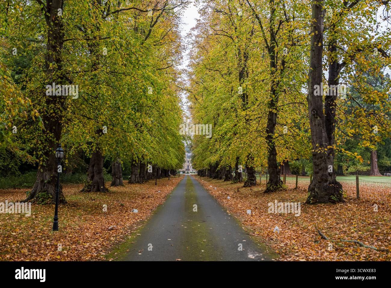 Auyumn colour hi-res stock photography and images - Alamy
