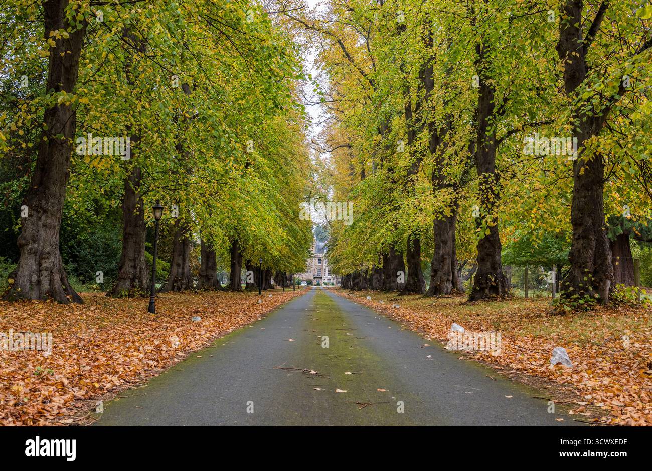 Carberry Tower, East Lothian, Scotland, UK 13th October 2025. UK ...