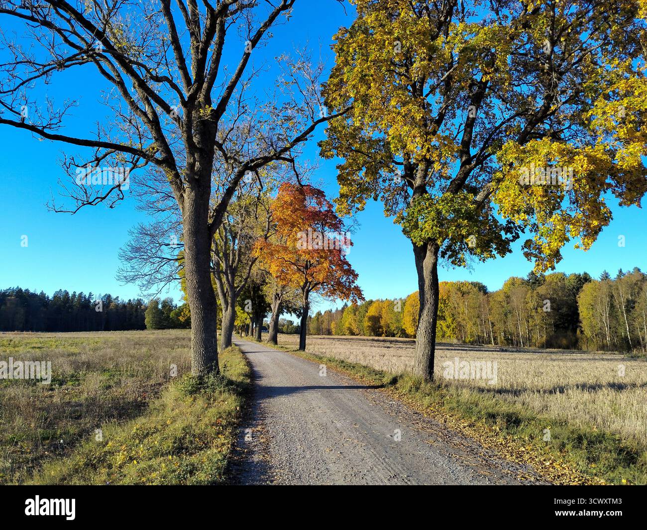 Dirt path across fields hi-res stock photography and images - Alamy
